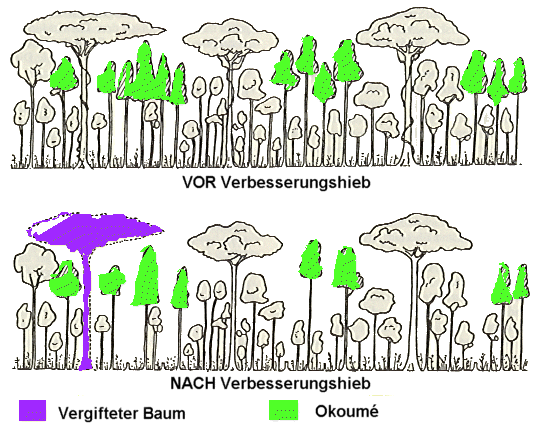 Tropisch-subtropische Regenzeitwälder und Savannen (Zonobiom II)